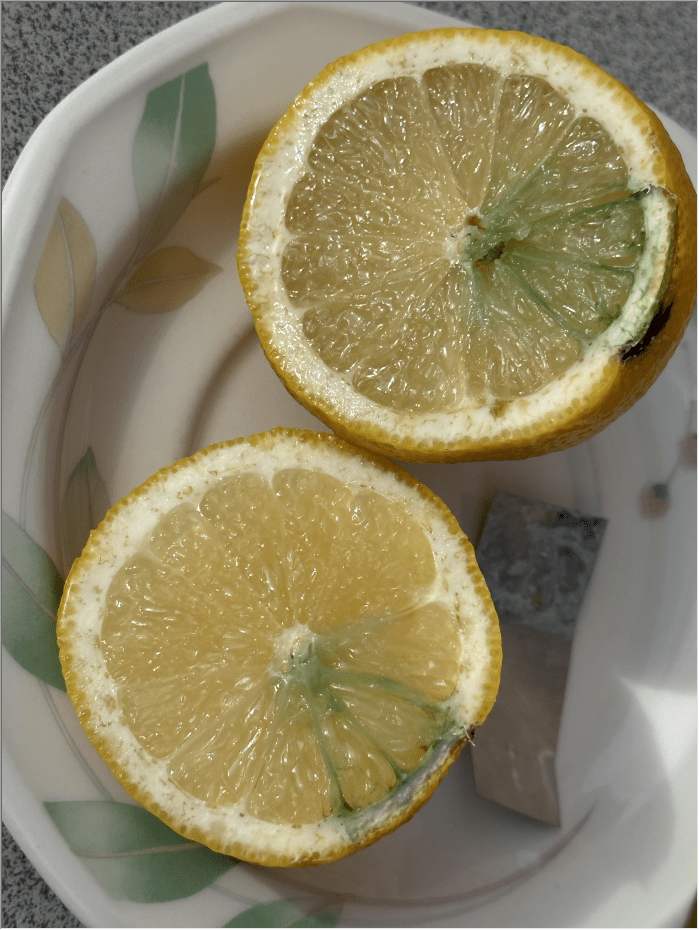 22 | October | 2022 | Didier Stevens